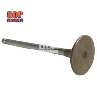 China 4089762 3969637 3800341 3942589 4981795 Diesel Engine Valve Exhaust For ISLe ISLe8.9 QSL8.9 6L ISC for sale