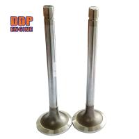 China 3803518 2881836 4955734 2881836 3631950 4986317 Diesel Engine Valve Intake Inlet For K50 KTA50 QSK50 KTA38 QSK38 for sale