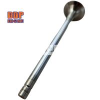 China 3033234 3801356 3417713 3800636 3800638 3418020 3068828 3800639 3418021 3070159 Diesel Engine Valve Intake For L10 LTA10 QSM11 ISM11 for sale