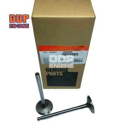 China 3920868 3901607 4994143 1007-00114 Diesel Engine Valve Exhaust For 4BT3.9 6BT5.9 EQB 180-20 EQB 210-20 for sale