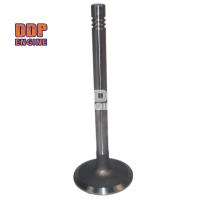 China T423393 497-1111 381-6235 Intake Valve 3142A171 Exhaust Valve For C7.1 C6.6 for sale