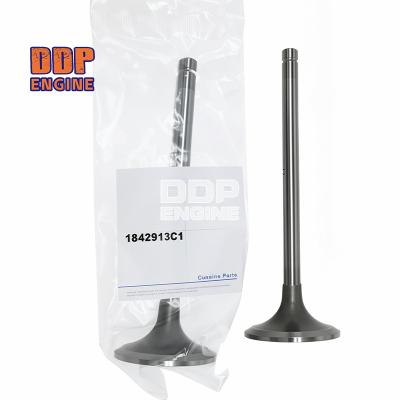 China 1842913C1 1842912C1 Engine Intake Valve For 1306 1306C-E87TAG4 DT466 DT466E DT530E T444E DT570 for sale
