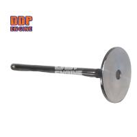 China Engine Intake Valve 3697413 4309572 3696764 Exhaust Valve 5582315 5633610 For ISG12 QSG12 for sale