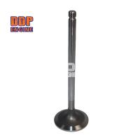 China Engine Intake Valve 3697413 4309572 3696764 Exhaust Valve 5582315 5633610 For ISG12 QSG12 for sale