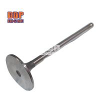 China Engine Intake Valve 3697413 4309572 3696764 Exhaust Valve 5582315 5633610 For ISG12 QSG12 for sale