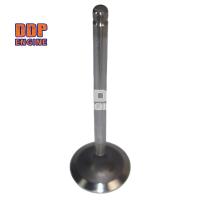 China Engine Intake Valve 3697413 4309572 3696764 Exhaust Valve 5582315 5633610 For ISG12 QSG12 for sale