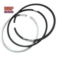 China 4955169 3976339 4932801 3971297 3970519 Engine Piston Ring For 6ISBe ISDe107 for sale