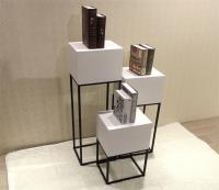China Simple Style Shop Window Display Shelves / Window Display Rack With Metal Frame for sale