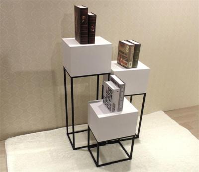 China Simple Style Shop Window Display Shelves / Window Display Rack With Metal Frame for sale