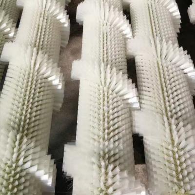 China Fruit Cleaning Roller Brush Industrial Round Nylon Fruit And Vegetable Cleaning Roller Brush for sale