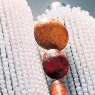 China Nylon Roller Brush For Fruit And Vegetable Cleaning Roller Brush for sale