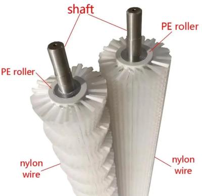 China Cylindrical Roller Brush Customizable For Vegetable Potato Carrot Peeling And Cleaning for sale