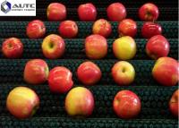 China High Efficiency Cylindrical Roller For Fruit&Vegetable Cleaning Brush Galvanized Metal Yellow Green for sale