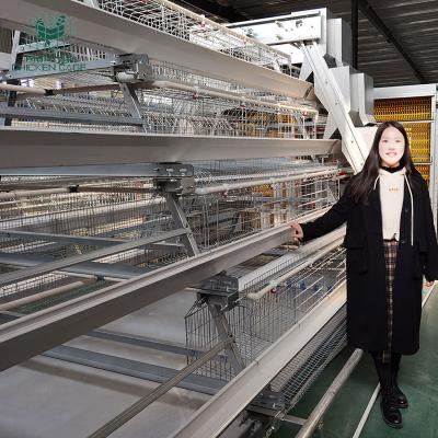 China Fully Automatic Poultry Farm Galvanized Wire A Type Layer Egg Chicken Coop Battery Cage System for sale