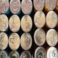 China Gi/Galvanized/Galvanised Steel Coil for Canning Industry for sale