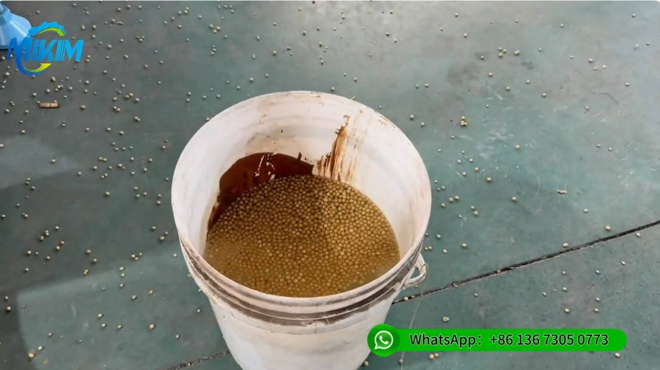 Testing 200kg/h diesel single screw floating fish feed making machine for floating pellet buoyancy