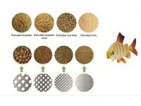 China Healthier Pellet  Dog Food Production Line SUS304 Floating Fish Feed Extruder Machine Processing Plant for sale