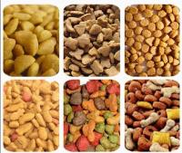 China Healthier Pellet  Dog Food Production Line SUS304 Floating Fish Feed Extruder Machine Processing Plant for sale
