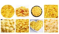 China Stainless Steel Puff Snack Food Extruding Machine with WEG Motor for sale