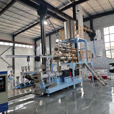 China Meat , Beans , Vegetable pet chewing food extrusion machine with Twin - screw for sale