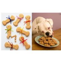 China Full Life Dog Biscuit Making Machine , Pet Dental e Dog Food Equipment for sale