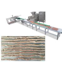 China Cold Extrusion Type Beef Stick Extruding Pet Treat Machine 43KW 200kg/hr for sale