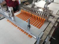 China Cold Extrusion Type Beef Stick Extruding Pet Treat Machine 43KW 200kg/hr for sale