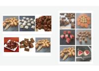 China Automatic Pet Snack Jerky Treat Forming Machine / Pet Food Processing Line with CE Certification for sale