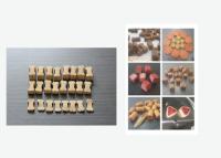 China Automatic Meat Jerky Treat Forming Machine / Pet Food Production Line with ABB or Schneider Electric parts for sale