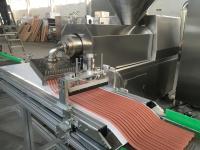China Natural Ingredients Delicious Chicken Breast Meat Strips Dog Treats Processing Line for sale