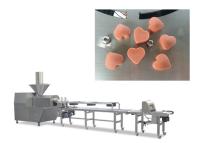 China Dog Treat Cold Extrusion Pet Food Production Line For Pet Treat Making for sale