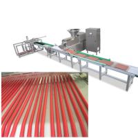 China SUS304 Beef Jerky Treats Pet Food Production Line 500kg/Hr for sale