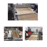 China Duck fresh Mest Sticks Pet Food Extruder Machine 200-500kg/hr Stainless Steel Flat Munchy Strip Snacks Making Machine for sale