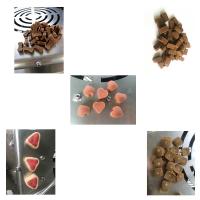 China High Protein Dry Natural Cat Pet Food Production Line 18kw With 1 Year Warranty for sale