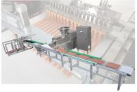 China CE Approved Pet Food Processing Line /Dog Snacks Stick Shape Meat Strip Processing Line for sale
