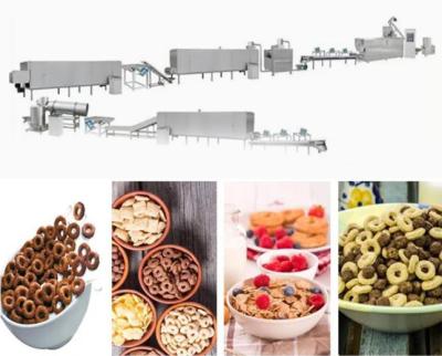 China delicious multifunctional good performance corn flakes/breakfast cereal processing line for sale