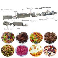China Breakfast Cereal and Corn Flakes Production line / puff snack Extruder machine for sale