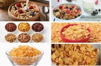 China New Stainless steel Corn Flakes Processing Line Twin Screw Extruder Machine for sale
