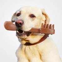 China Dental e Moulded Pet Chewing dog food making machine for Pet treats for sale