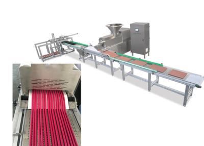 China Meat Strip Making Machine for Jerky Sticks Dog Treats Beef Meat Chew Snack for sale