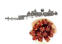 China Chicken Bacon Natural Four Star Twisted Sticks Dog Dental Treats Making Machine for sale