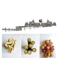China Pet Dog Food Extruder Animal Food Processing Machine With PlC Control for sale