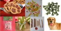 China Food Grade Dog Food Extruder Dental e Snacks Extruding Line for sale