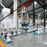 China Sinking Floating Aquarium Fish Feed Manufacturing Equipment Plant Chicken Bird Animal Feed Processing Machine Line Pig Cat Dog Pet Food Pellet Making Machinery for sale