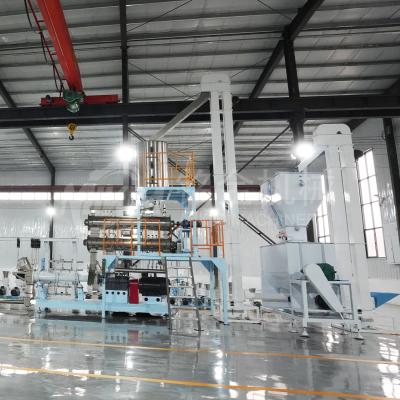 China twin screw pet pellet making machine 1tph Twin Screws Extruder for Floating Fish Feed Plant Fish Food Manufacturing Machine for sale
