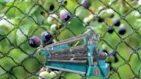 China Anti Insects Warp Knitting Machine Anti Bees Net Knitting for sale