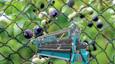 China Anti Insects Warp Knitting Machine Anti Bees Net Knitting for sale