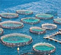 China High Performance Knotless Fishing Net Making Machine China for sale