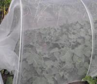 China Anti - Insect Net Green Net Manufacturing Machine Computerized Control for sale