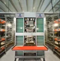China Low Breakage Rate Below 1 Percent Egg Collection System Multi Layer Efficient High Automation for sale